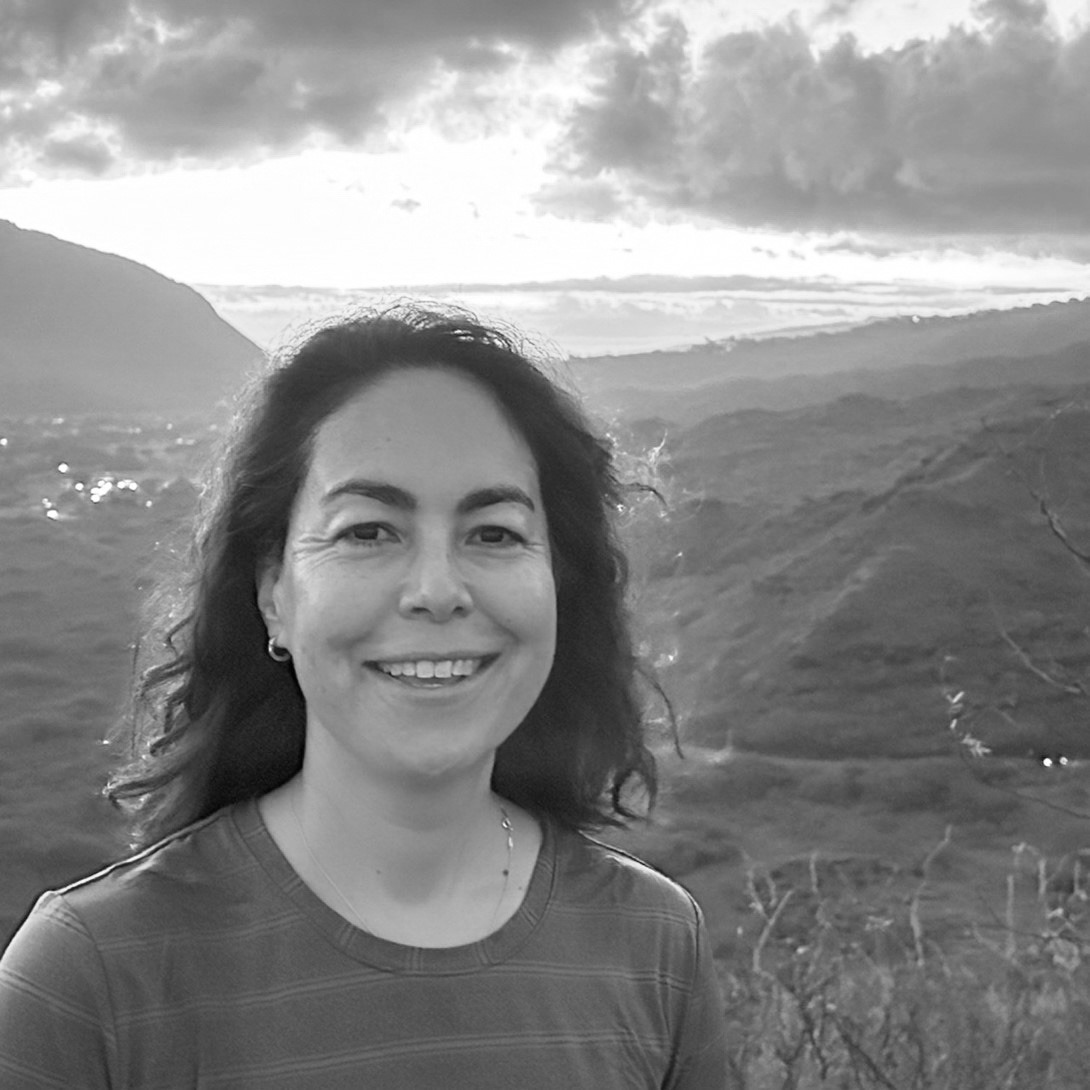 Suzanne Misako Saltz - Independent Artist Group